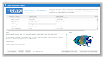 Elevate Web Builder for Web Application Developers