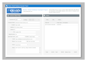 Elevate Web Builder for Web Application Developers
